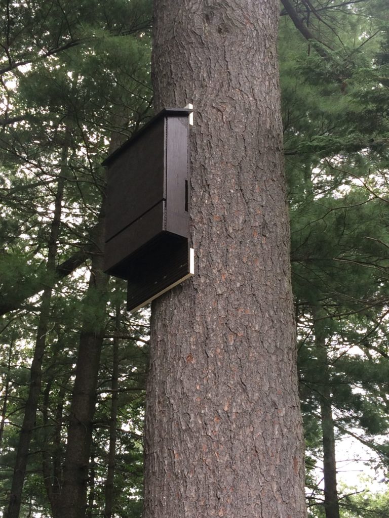 Bat Boxes and Benches - Pine Banks Park